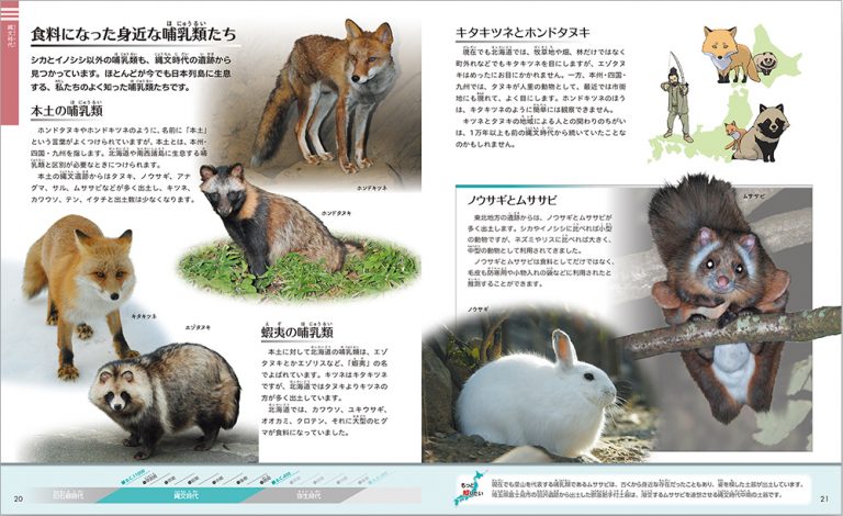 ①旧石器時代から弥生時代 | 少年写真新聞社のホームページ